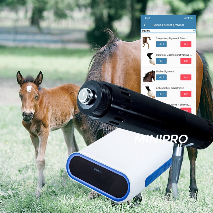 Portable Horse Treatment Ems Shockwave Machine With Electromagnetic ...